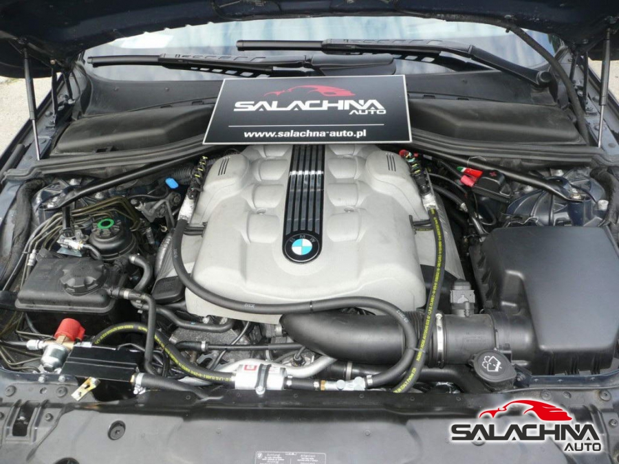 BMW 545 V8 E60 - Salachna Auto